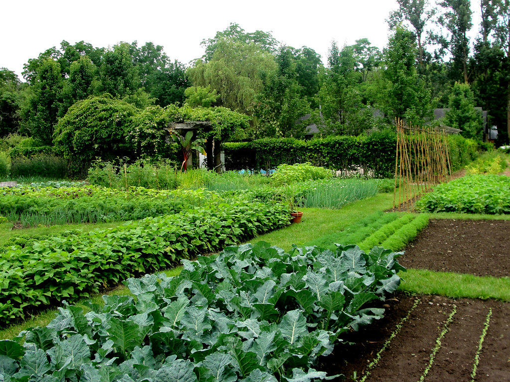 The Homesteading Diet (No Chores Required)